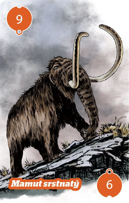 Mamut srstnatý – Historie v kartách